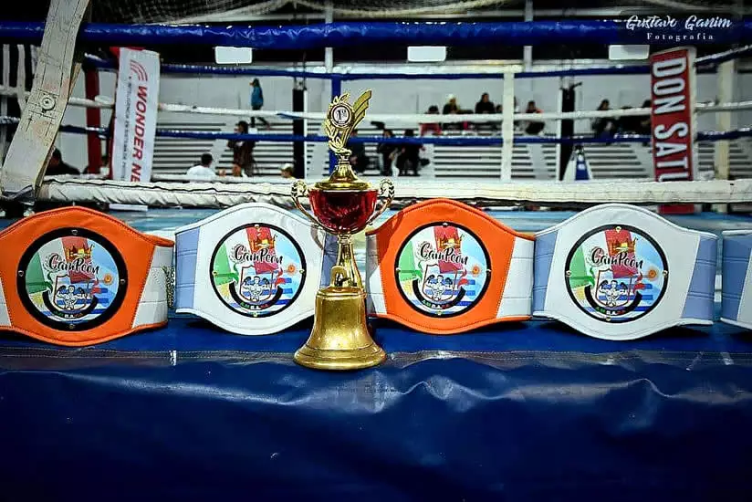 AMBAPA recibe reconocimiento en la Provincia de Buenos Aires | El diario